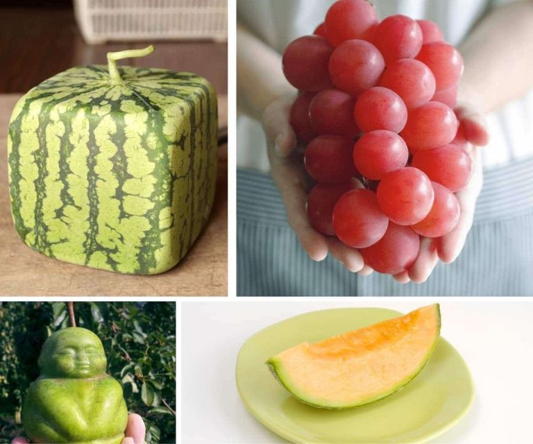 The World’s Most Expensive Fruits - Fruit World Media